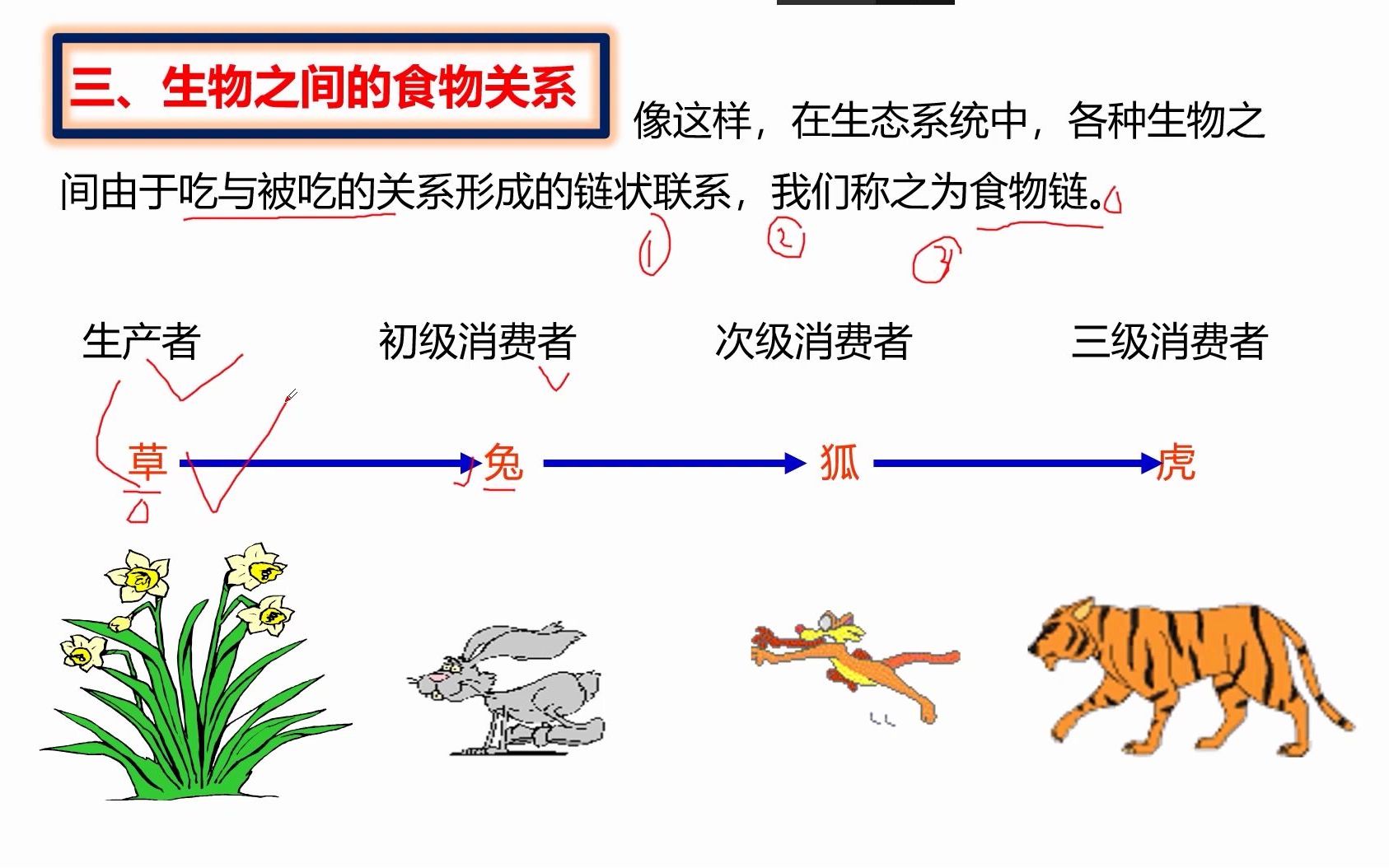 浙教版初中科学九下 2.4生态系统的结构和功能(第二课时)教学视频