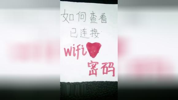如何查看已连接wifi的密码