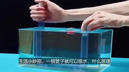 生活小妙招,一根管子就可以吸水,什么原理