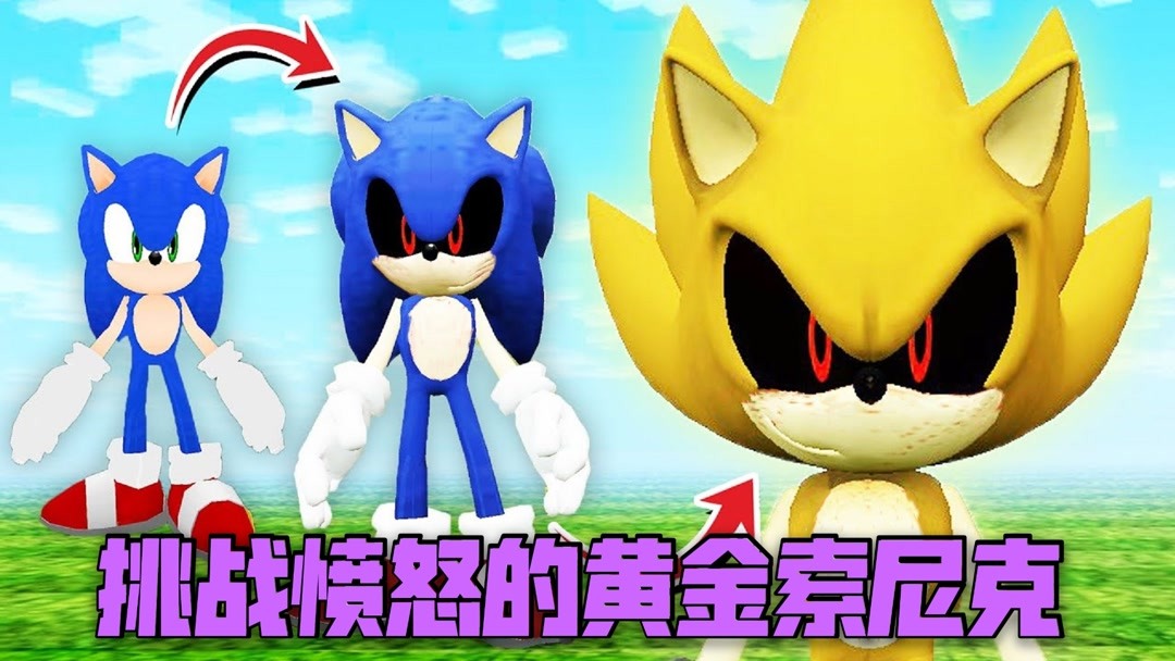 盖瑞模组:挑战刺猬索尼克,开启愤怒形态,竟然进化成黄金索尼克
