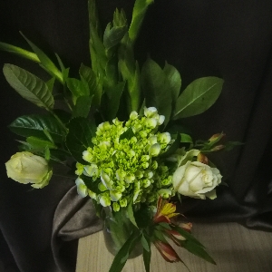 斐多姆相对论 