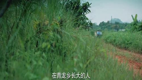 法医秦明:秦明调查命案,报警人竟是盗墓贼,真是个大奇葩