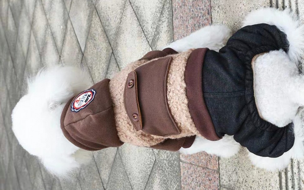 农村宝妈如何在家给泰迪洗澡?