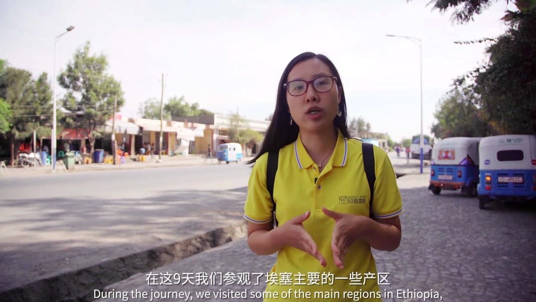 精华!4分钟回顾埃塞俄比亚咖啡种植各个环节