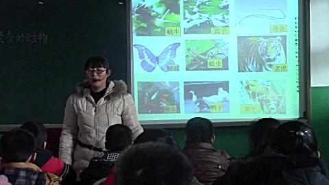8.小学科学教科版六年级上册《4.种类繁多的动物》河北省县级优课
