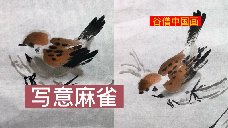 谷僧中国画麻雀,写意水墨画麻雀画法