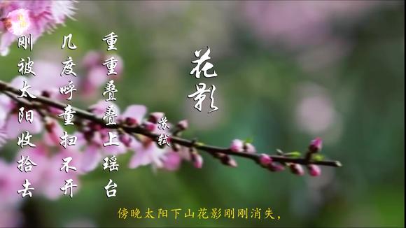 苏轼 花影 重重叠叠上瑶台 几度呼童扫不开