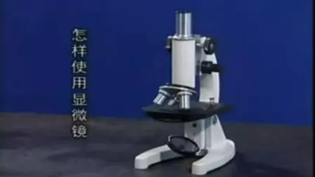 显微镜的构造及使用