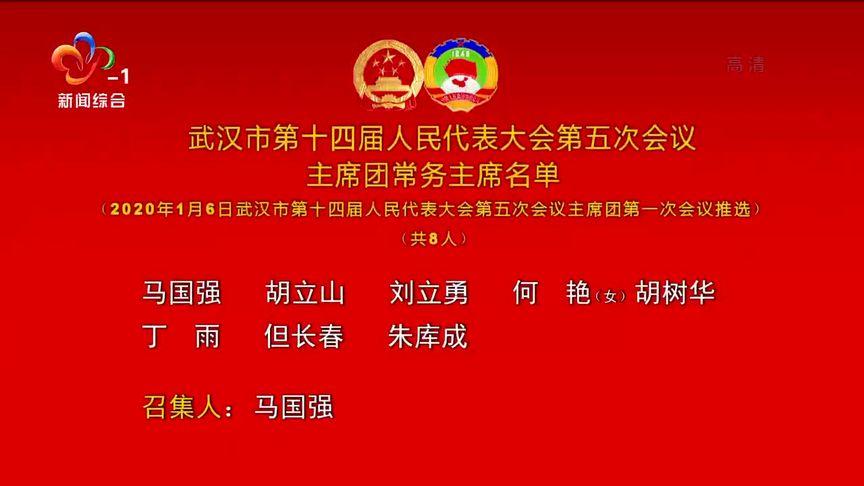 武汉市第十四届人民代表大会第五次会议主席团常务主席名单