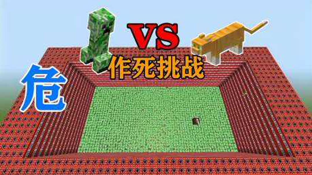 MC作死挑战!一万只苦力怕VS一只猫,你能跟着猫生存30秒吗?