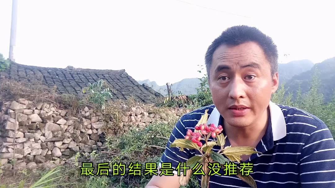 拍的西瓜视频,为什么没推荐没播放量,可能有人在偷你的视频