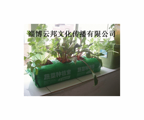 家庭蔬菜种植宝 