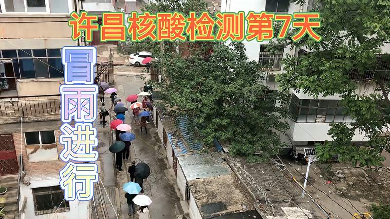为什么让黄码和红码一块做核酸?