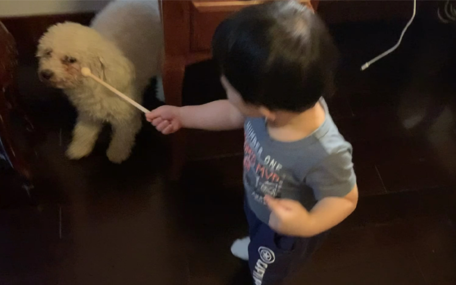 小白: 我太难了 Ft. Tiny Insects iLab兴趣实验室