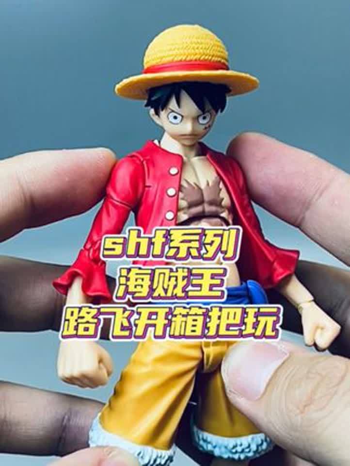 ...像假面骑士和龙珠一样走得远!#海贼王 #模型 #手办 #二次元 #热血动漫