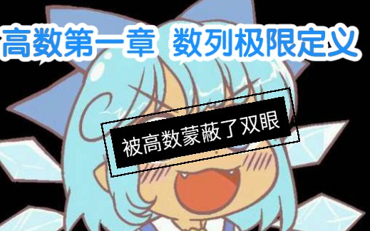 《高等数学》/高数 做最快最简单的高数自学入门教学 第一章第一节...