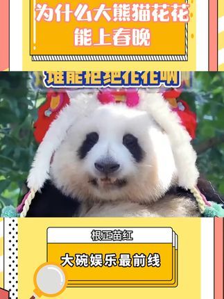 为什么大熊猫花花能上春晚 #娱乐评论大赏