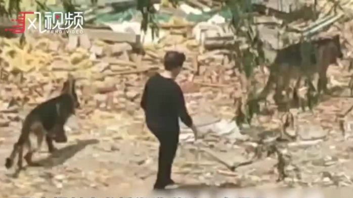 男子纵容大型犬撕咬小猫致死 路人愤怒制止无果