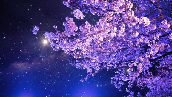 塔罗占卜|灵摆调频|灵气疗愈