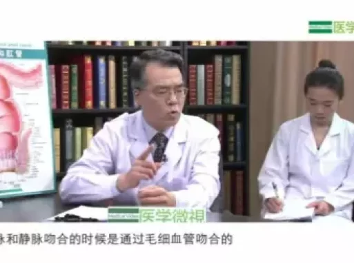 引起痔疮的原因有哪些?