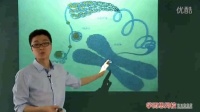 高二高中高考生物超级好课程必看视频1.1减数分裂的过程
