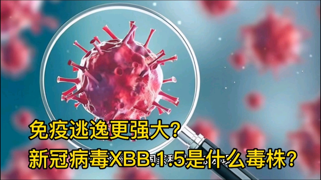 免疫逃逸更强大?新冠病毒XBB.1.5究竟是什么毒株?致病率如何?