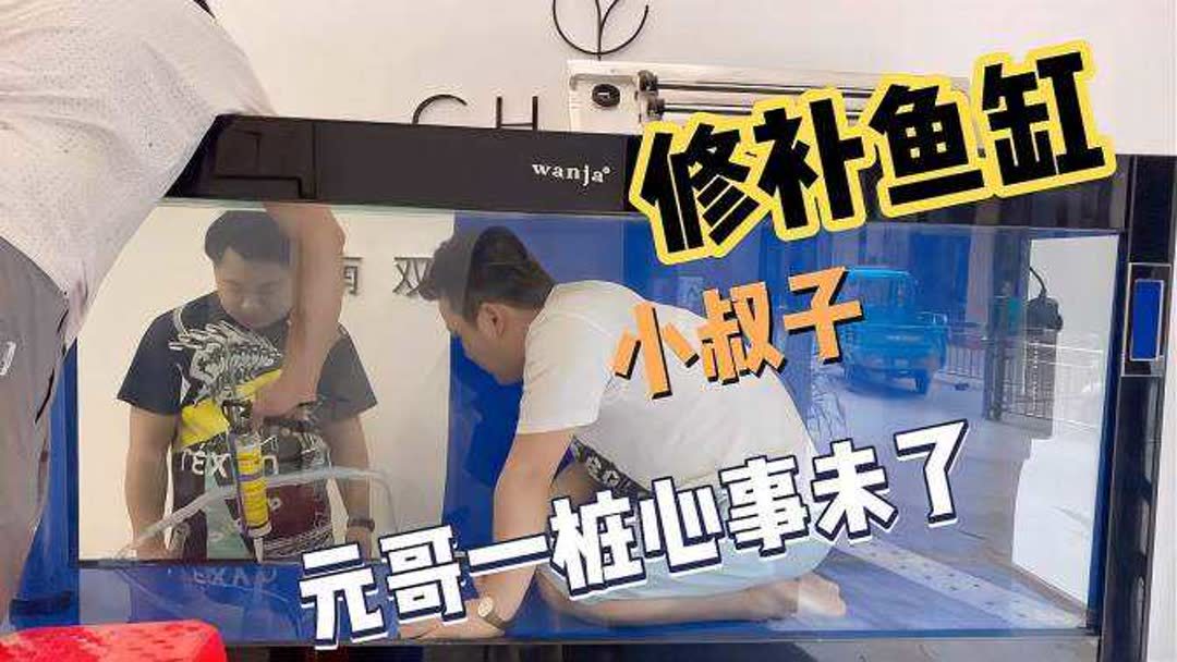 鱼缸莫名其妙裂缝 元哥每天愁眉不展 缸太好看舍不得换新玻璃突碎