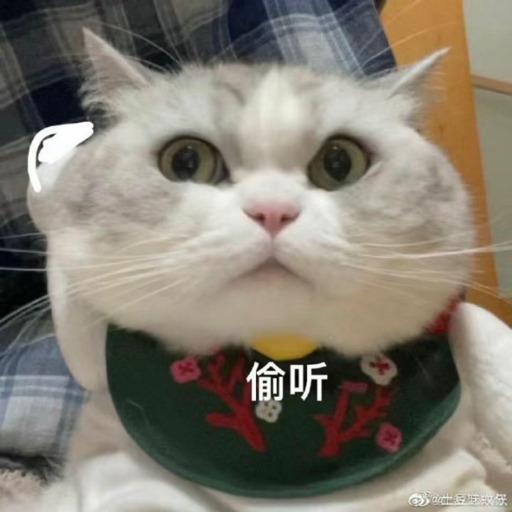 聪聪聪明不了 