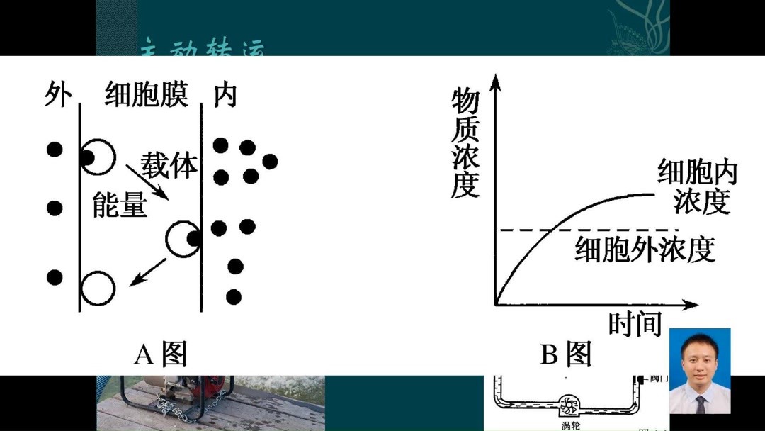 第三章 细胞的代谢 第四节课11班