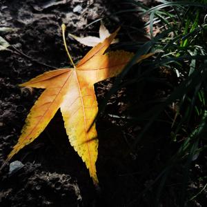 魔都景观人手机摄影 