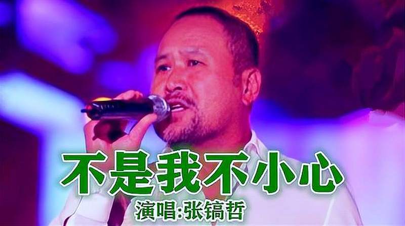 张镐哲的一首《不是我不小心》,只是真情难以忘记!