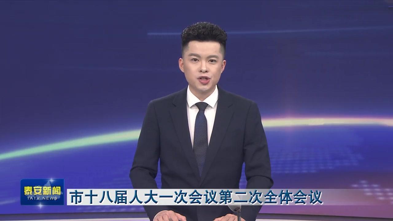 TATV视频|市十八届人大一次会议第二次全体会议