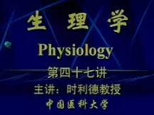 47、第十章 神经系统的功能 (5)