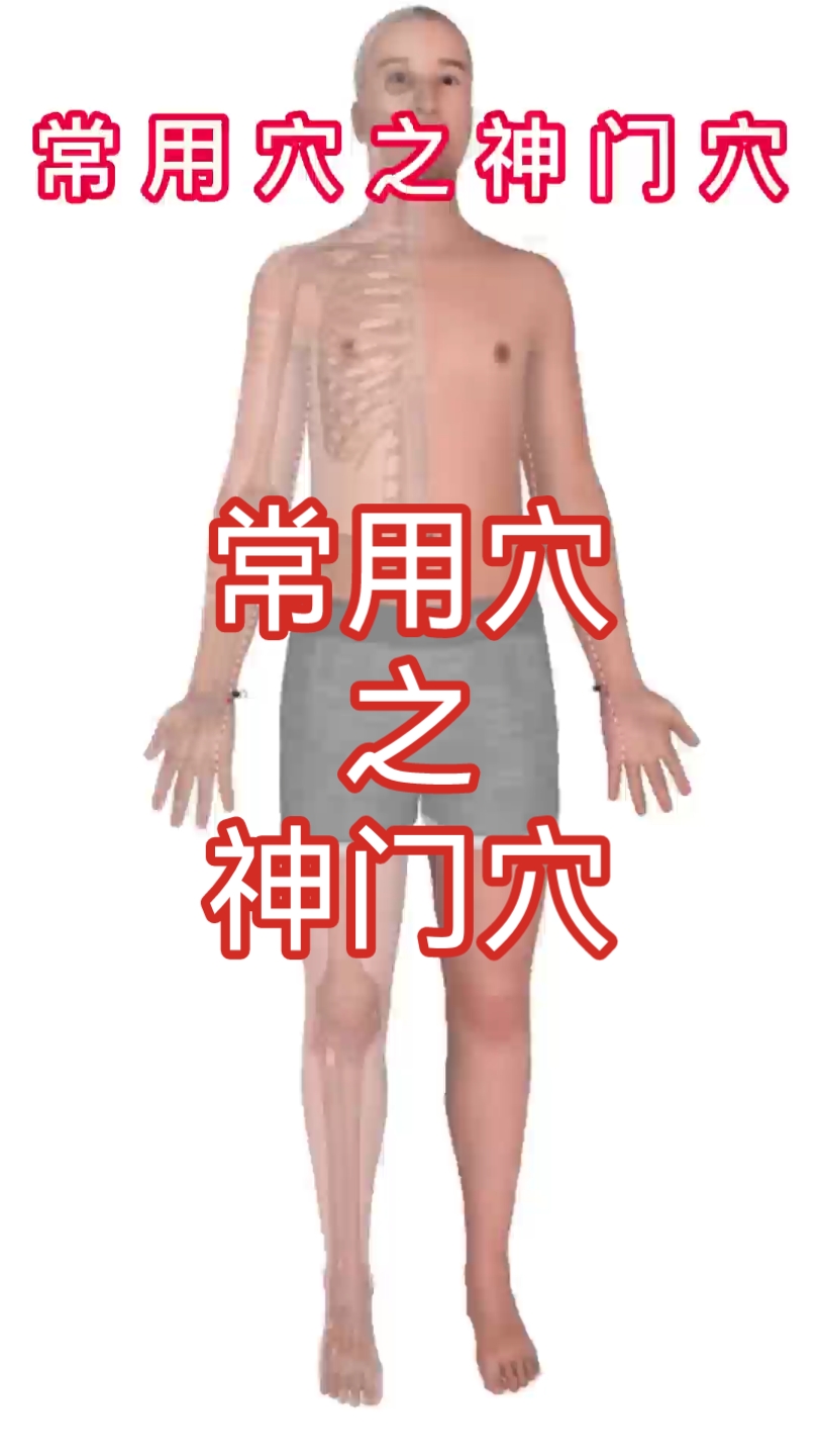 常用穴位之神门穴