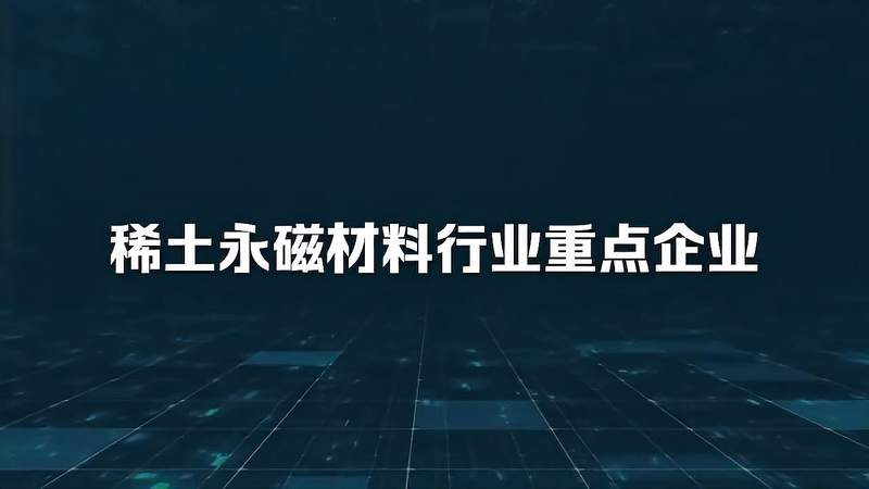 稀土永磁材料行业重点企业