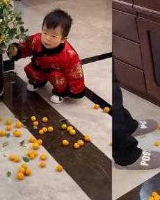 ...当时老婆在厨房做饭,小孩自己玩,结果把爷爷养的橘子几乎全摘掉了。...