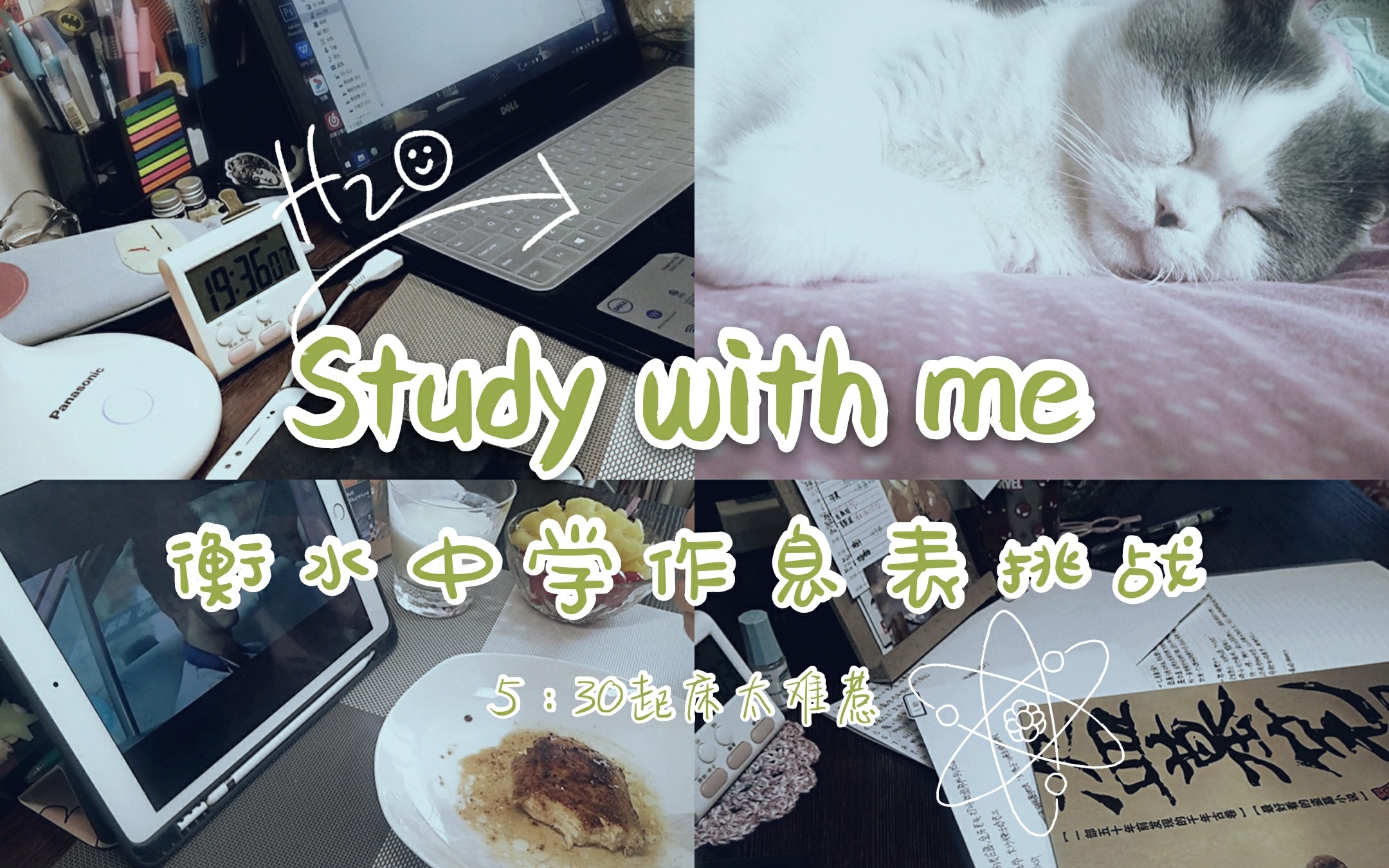 【木落桑vlog.01】study with meⅡ衡水中学作息表挑战
