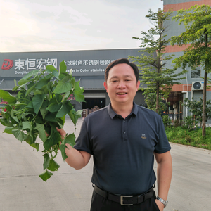 东恒宏彩色不锈钢 