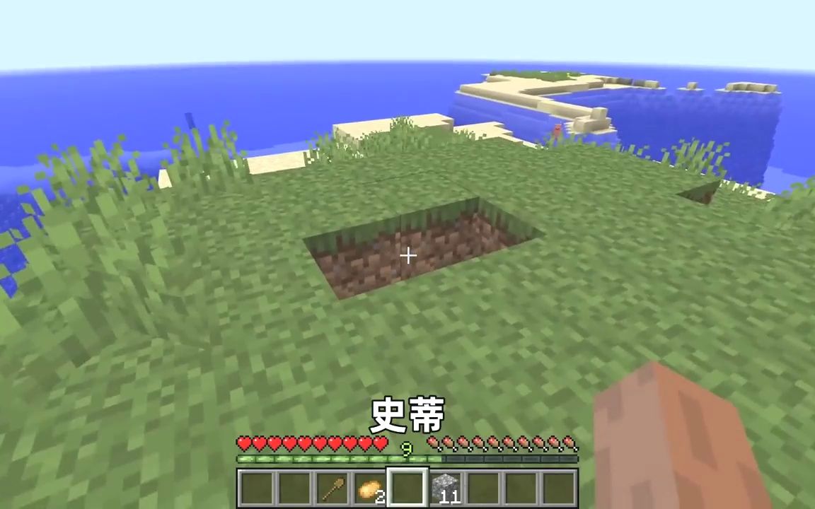 我的世界脑洞《小白史蒂夫》:史蒂夫这操作把牛顿老师都整笑了!