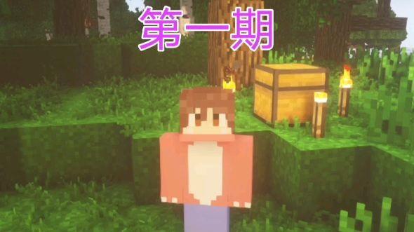 我的世界惊变100天生存