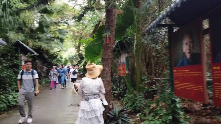 三亚的长寿谷,一家人出行必游览驻足的景点,堪称热带雨林奇观
