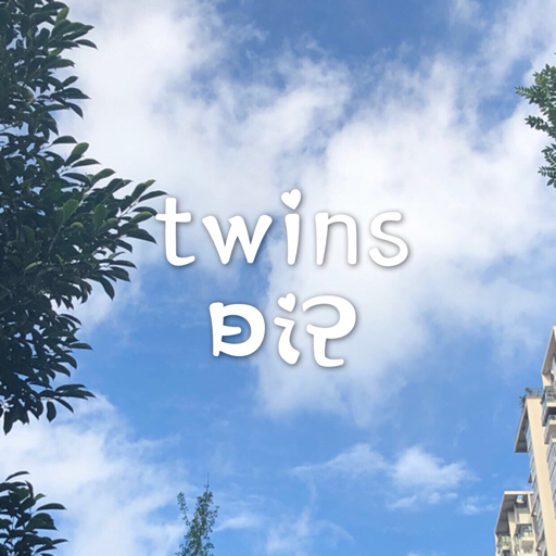 twins日记 