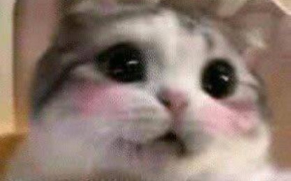 我的世界红石科技告白