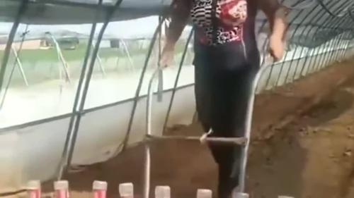 民间大姐自己发明的播种器, 一番展示过后, 可以去申请专利了
