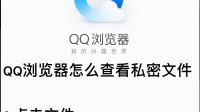 手机QQ浏览器怎么打开私密文件