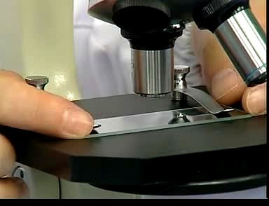 《练习使用显微镜》