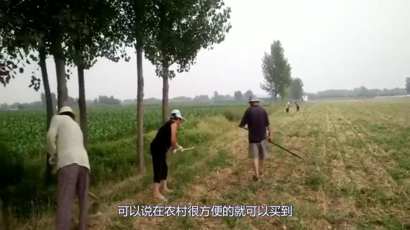今年开始,农村这种东西就要开始禁止使用了,如果被发现就要罚款