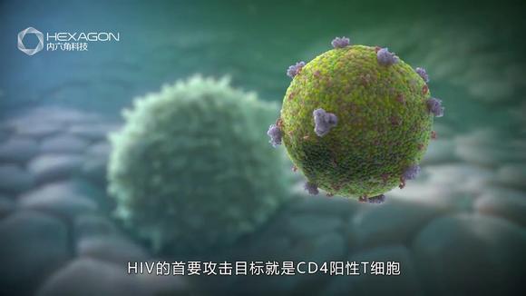 HIV病毒是怎么进入人体并影响身体的