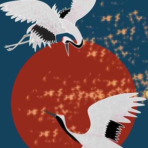 森森和你看电影 