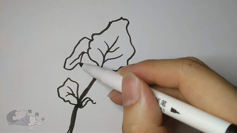 简笔画:教你画(植物)你喜欢吗?